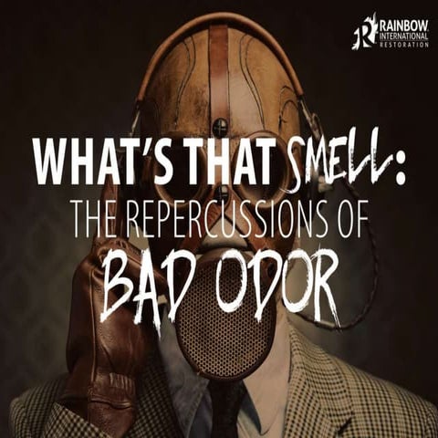 What's that smell | PPTX