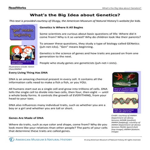Photosynthesis And Cellular Respiration Notes New | PPT