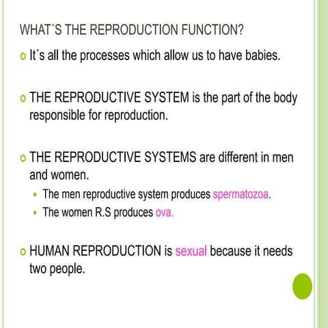 Structures of the Reproductive System