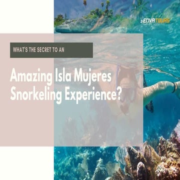 Discovering Paradise: Tours from Cancún to Isla Mujeres | PDF