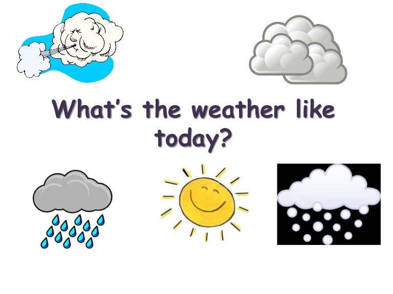 What s The Weather Like what-s-the-weather-like