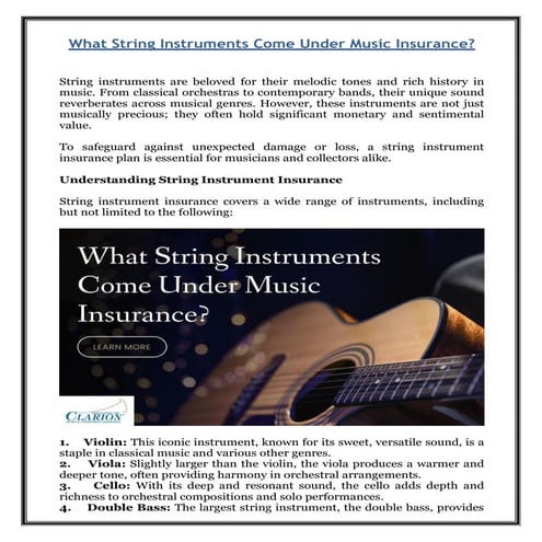 What String Instruments Come Under Music Insurance? | PDF