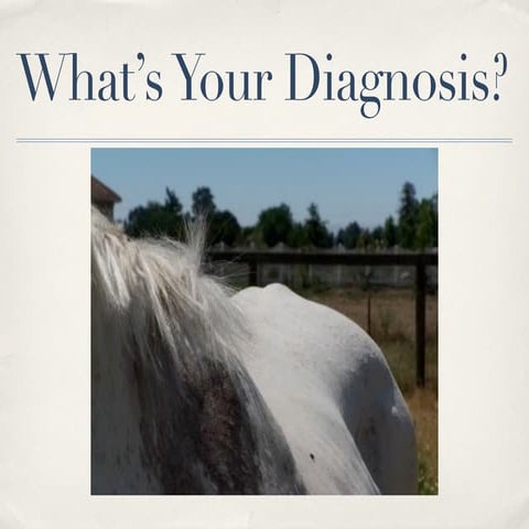 What's your diagnosis? #3 | ZIP