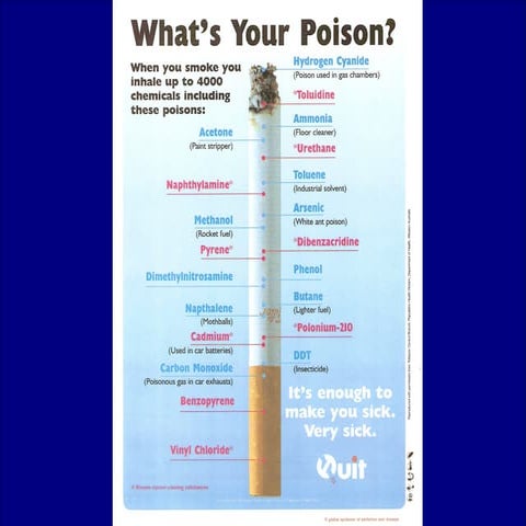 Whats Your Poison? | PDF