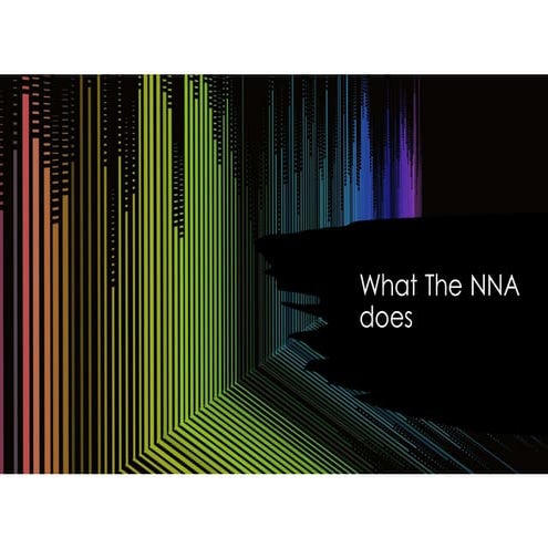 What The NNA Does | PDF