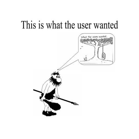 What the user wanted | PPT