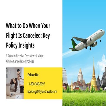 What to Do When Your Flight Is Canceled Key Policy Insights.pptx