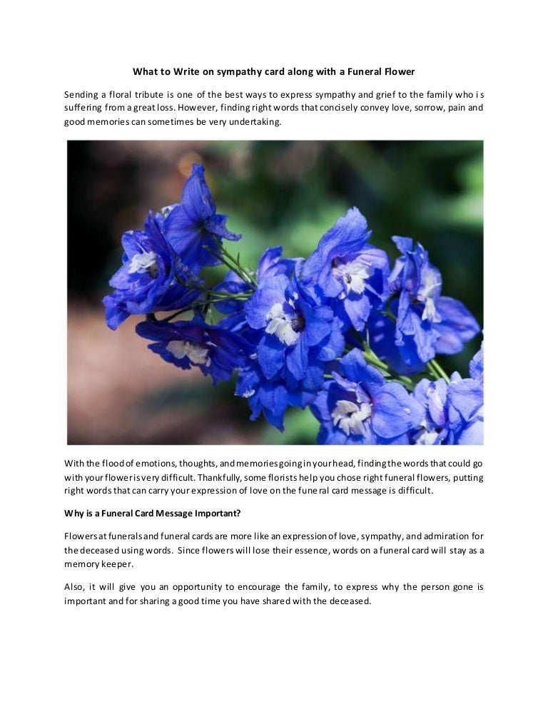 What To Write On Funeral Flowers For Father How To Write A Meaningful what-to-write-on-funeral-flowers-for-father-how-to-write-a-meaningful