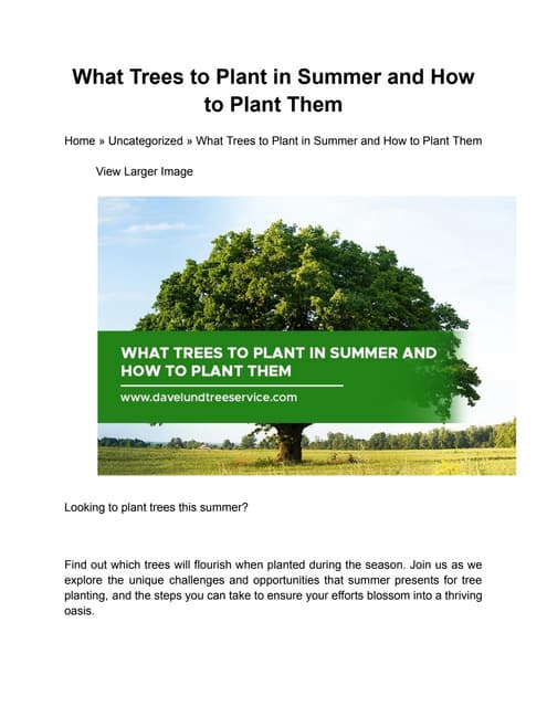 How to Plant a Tree | PPTX