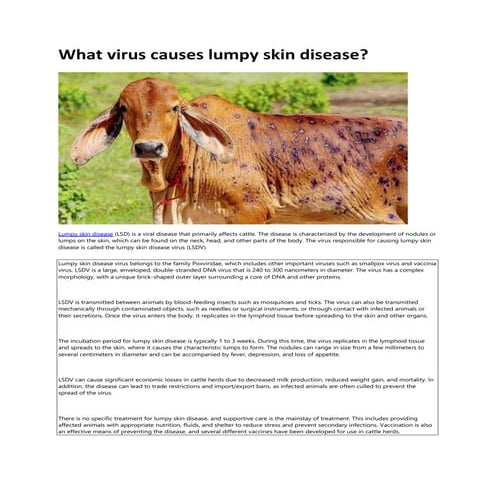 What virus causes lumpy skin disease?.pdf
