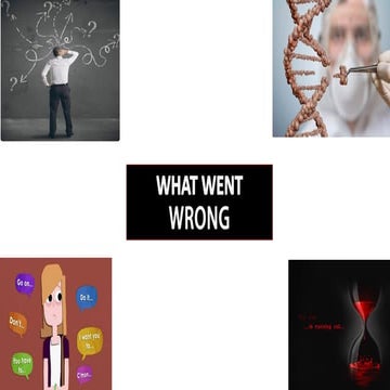 What Went Wrong | PPT
