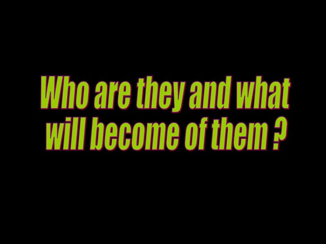 CC Logistics Company Profile | PDF