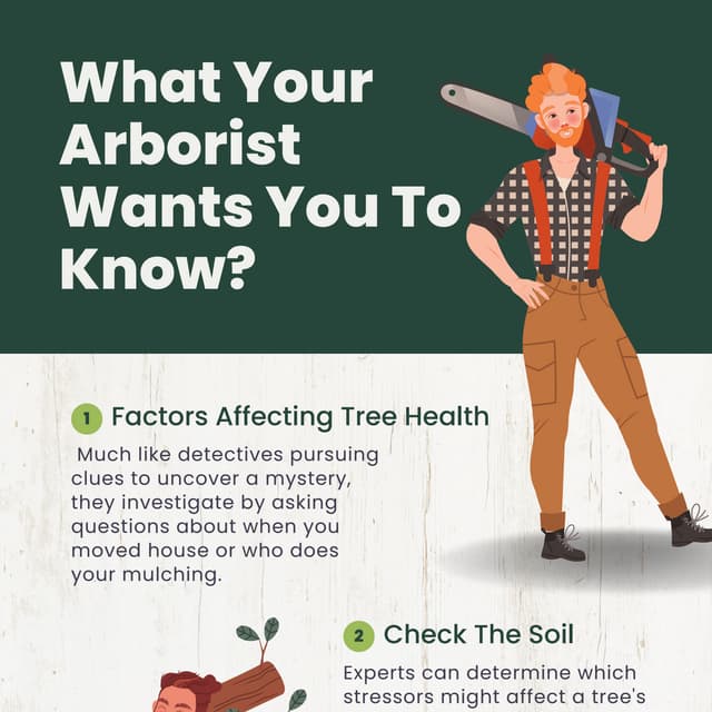 What Your Arborist Wants You To Know.pdf