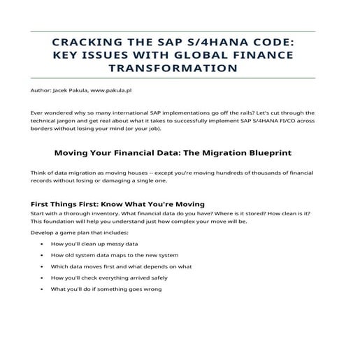 What Your Implementation Team Isn't Telling You About Global Finance Transformation.docx