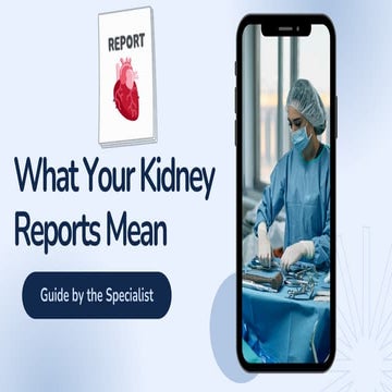 What Your Kidney Reports Mean A Patient-Friendly Guide | PDF