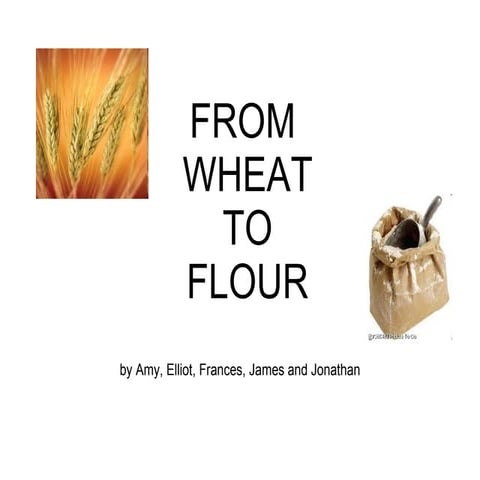 Wheat | PPT
