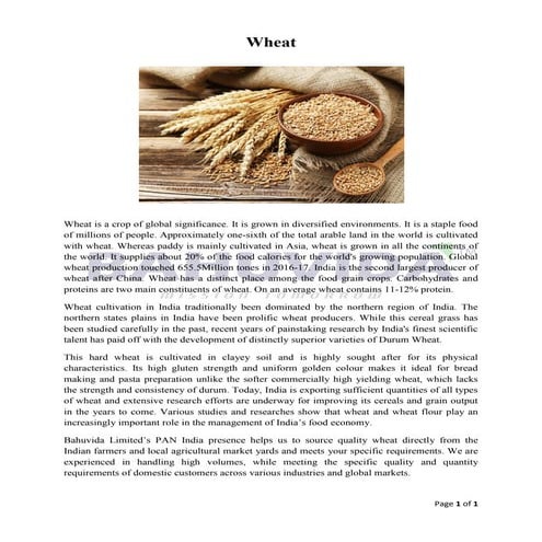 Wheat Agro Commodities Bahuvida Limited Wheat Suppliers Wheat Traders Wheat Exporters | PDF