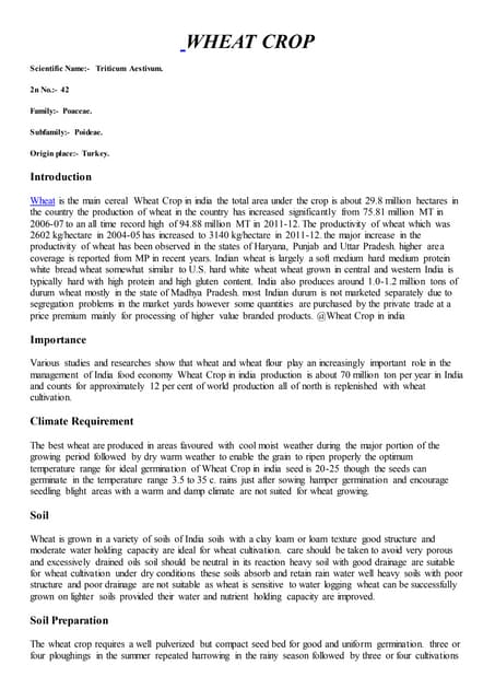 Mustard | PPTX | Gardening | Home & Garden