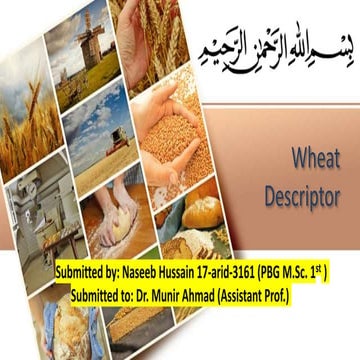 Wheat Descriptor.pptx