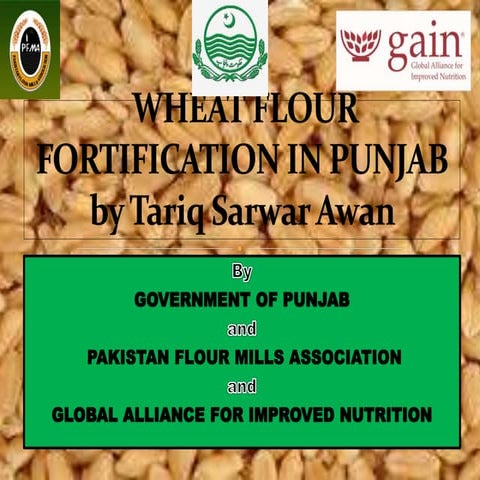 WHEAT FLOUR FORTIFICATION INITIATIVE IN PUNJAB | PPTX