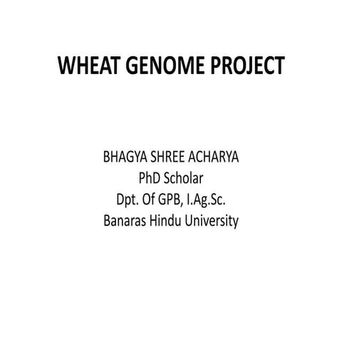 wheat genome project.pptx