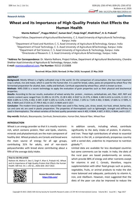 Wheat structure and composition nn_053717.pptx