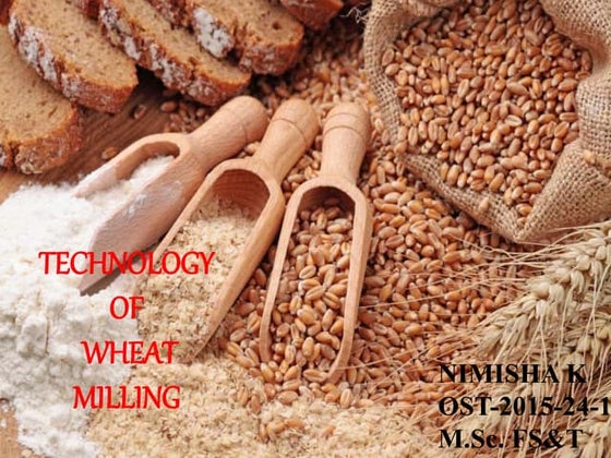 Wheat milling | PPTX