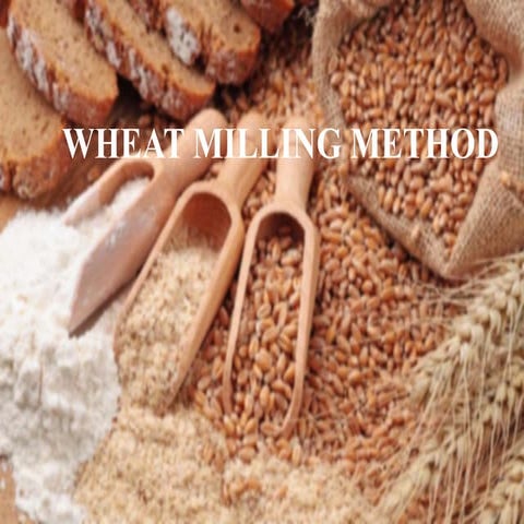 overview on the cereals like wheat ppt.ppt