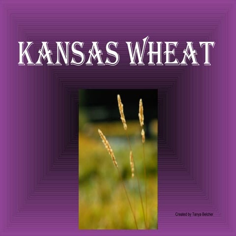 Wheat Presentation | PPT