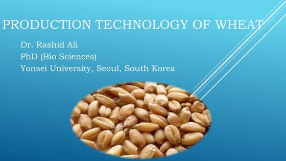 Economic Botany : Cereals : Wheat | PPTX | Gardening | Home & Garden