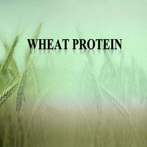 WHEAT_PROTEIN.ppt