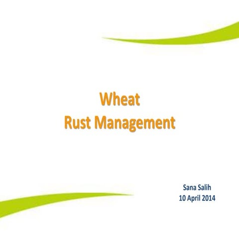Wheat Rust Management | PPTX