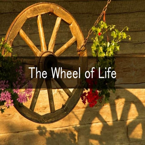The Wheel of Life | PPTX