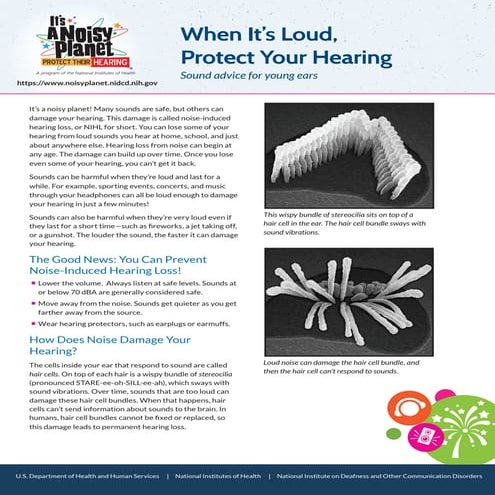 CROSSWORD when-its-loud-protect-your-hearing | PDF