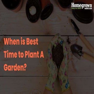 When is Best Time to Plant A Garden - Homegrown | PPT