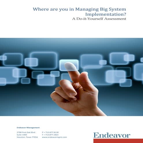 Where Are You in Managing Big System Implementation? | PDF