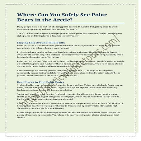 Where Can You Safely See Polar Bears in the Arctic.pdf