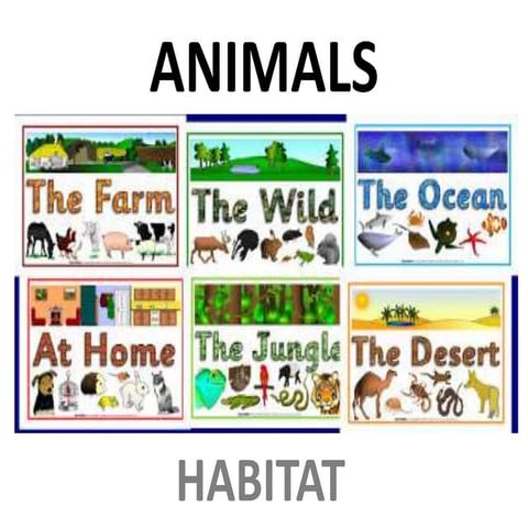 Where do animals live | PPTX