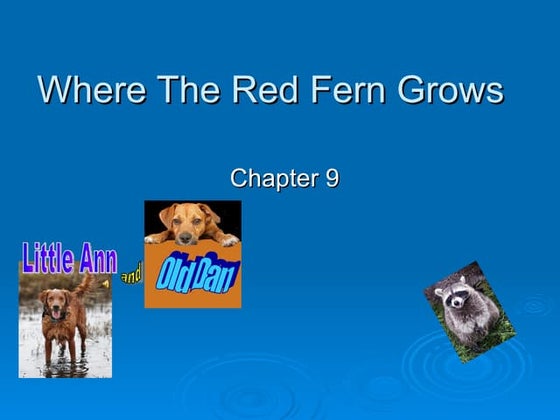 Red Fern Chapter 1 | PPT | Dogs | Pets