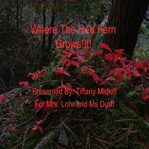 Where The Red Fern Grows | PPT