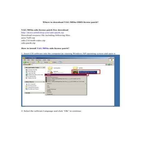 Where to download vag 5054a odis license patch | DOC