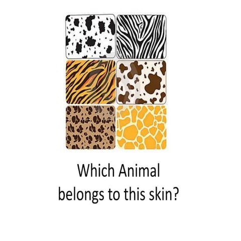 Which animal belongs to this skin | PPT