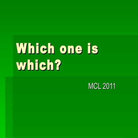 Which one is which "run" | PPT