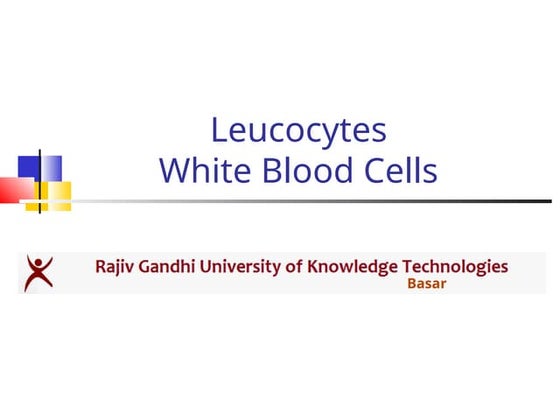 White Blood Cells | PPT