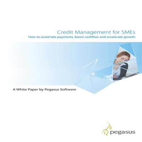 Pegasus Software White paper-credit-management | PDF