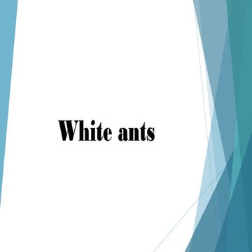 White ants_Kids Story Telling and for Educ.pptx