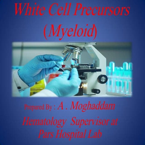 White Cell Precursors.pdf