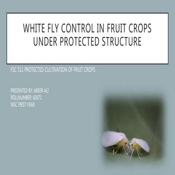 White fly control in fruit crops under protected STRUCTURE | PPT