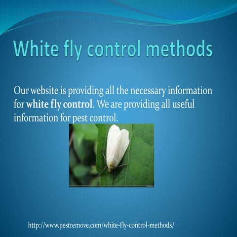 White fly control methods | PPTX