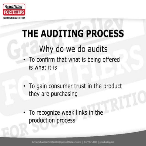 The Auditing Process | PPTX